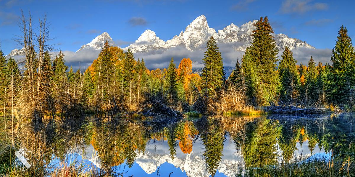 If You Love Nature, Desocialize It | Mises Institute