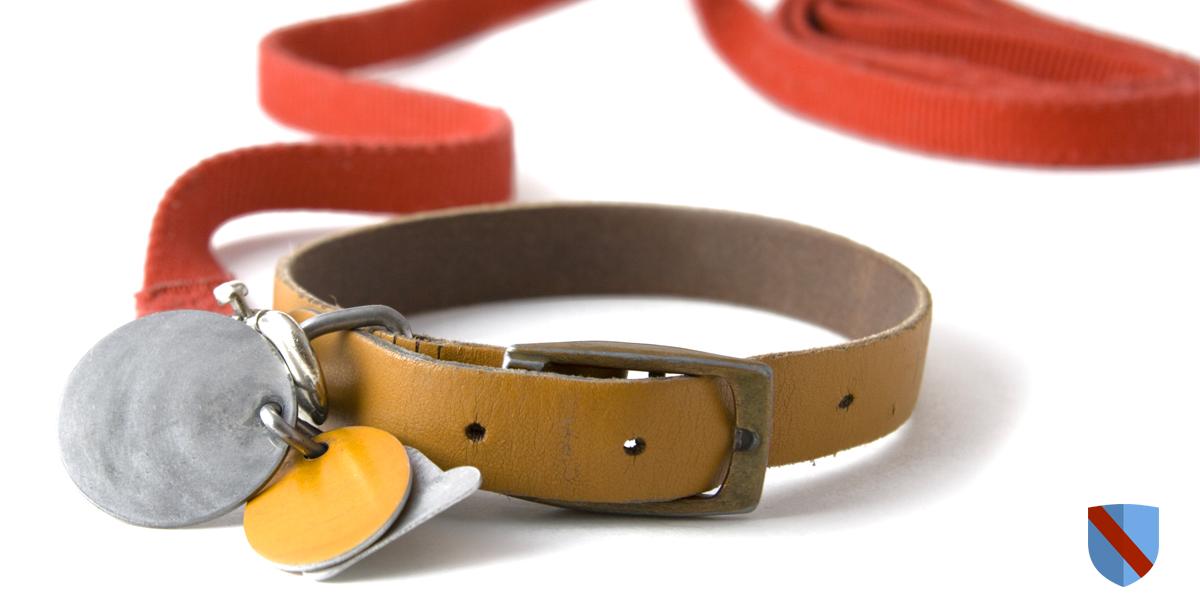 How I Learned the Truth about the State | Mises Institute