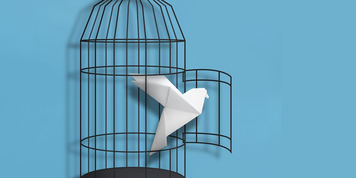Living Free in an Unfree World | Mises Institute