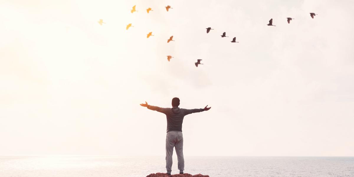 Defendiendo la libertad individual | Mises Institute