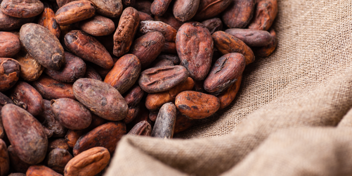 The Great Chocolate Crisis of 2024 | Mises Institute