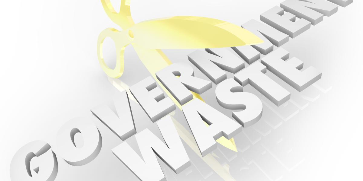 Elon Musk and The Grace Commission Report | Mises Institute