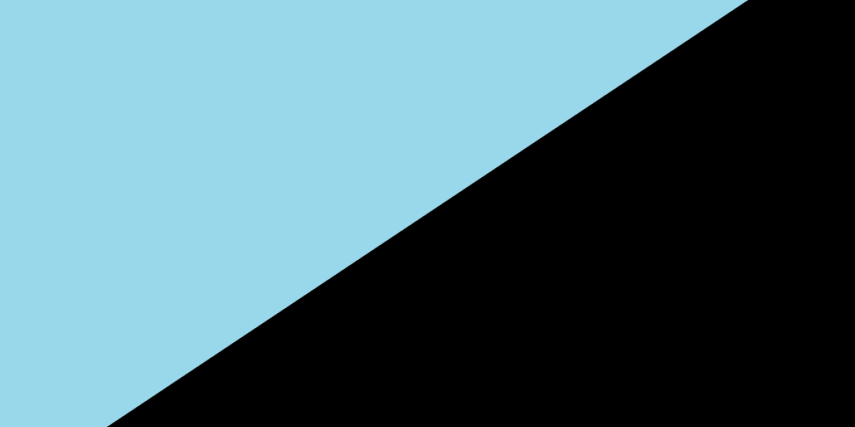 The Origins of Individualist Anarchism in the US | Mises Institute