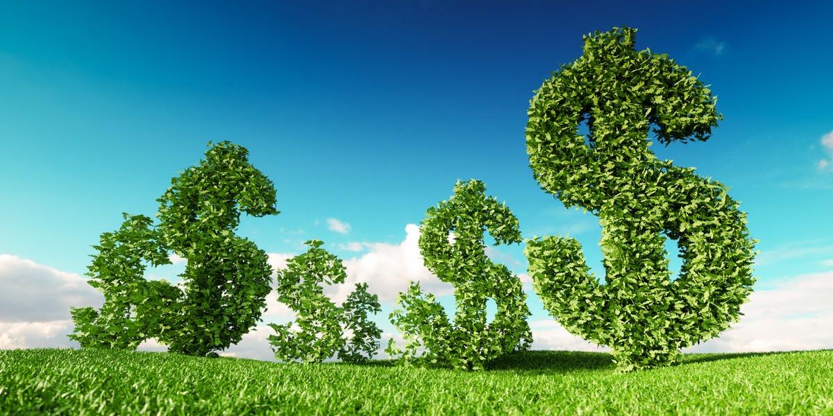 Recuperando el dinero | Mises Institute