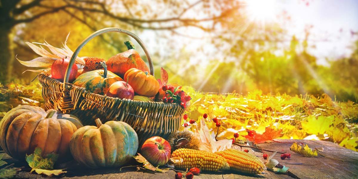 Bienes, escasos y no escasos | Mises Institute