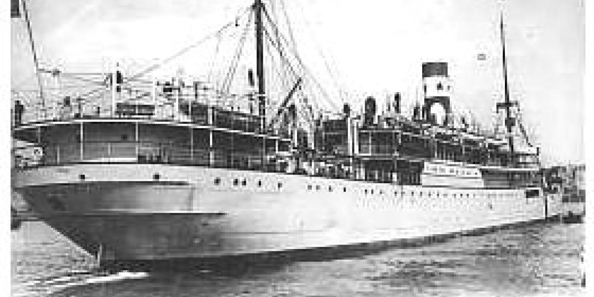 Mises in America | Mises Institute