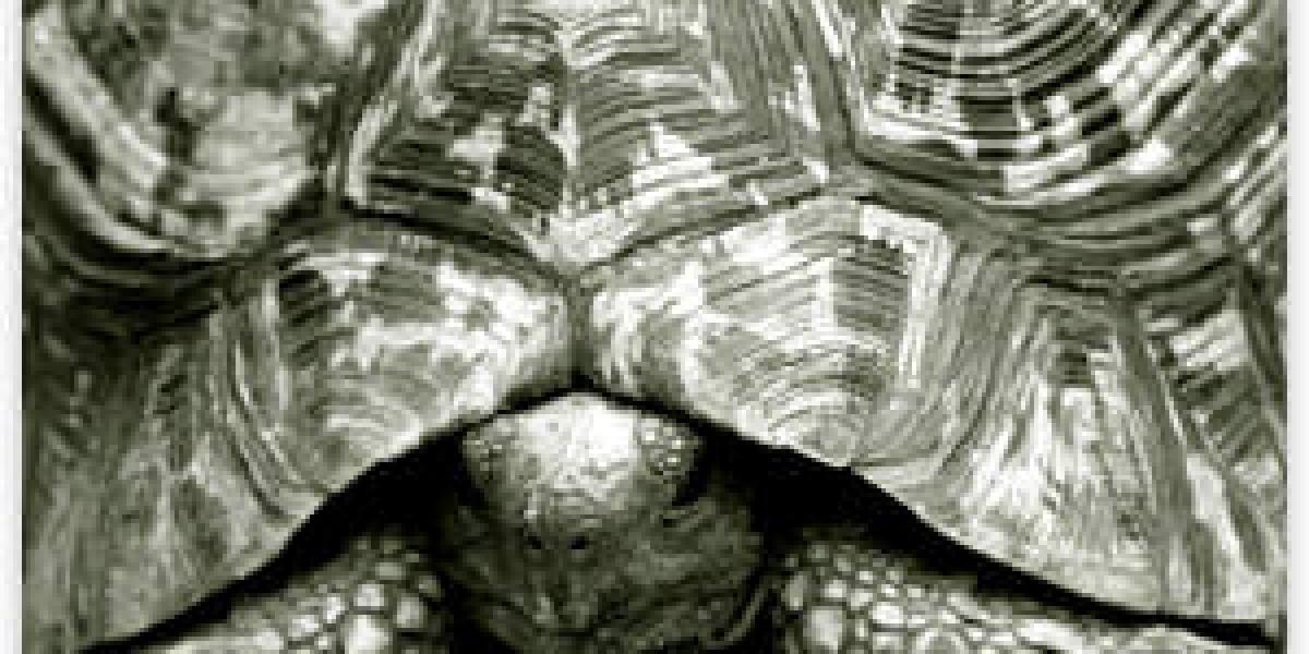 What's Wrong with the Utility Function? | Mises Institute