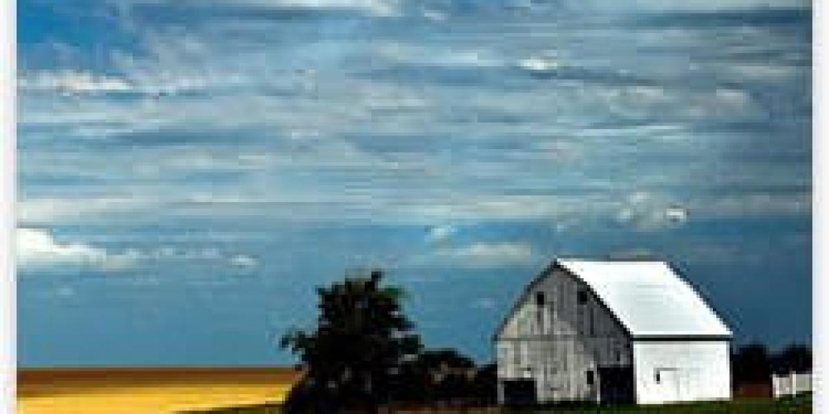 Ownership of Land | Mises Institute