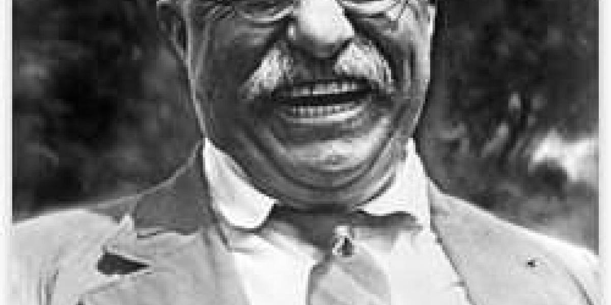 Theodore Roosevelt and the Modern Presidency | Mises Institute