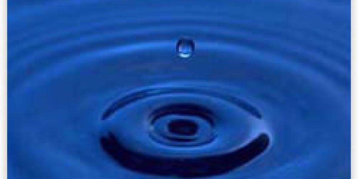 Understanding IP: An Interview with Stephan Kinsella | Mises Institute