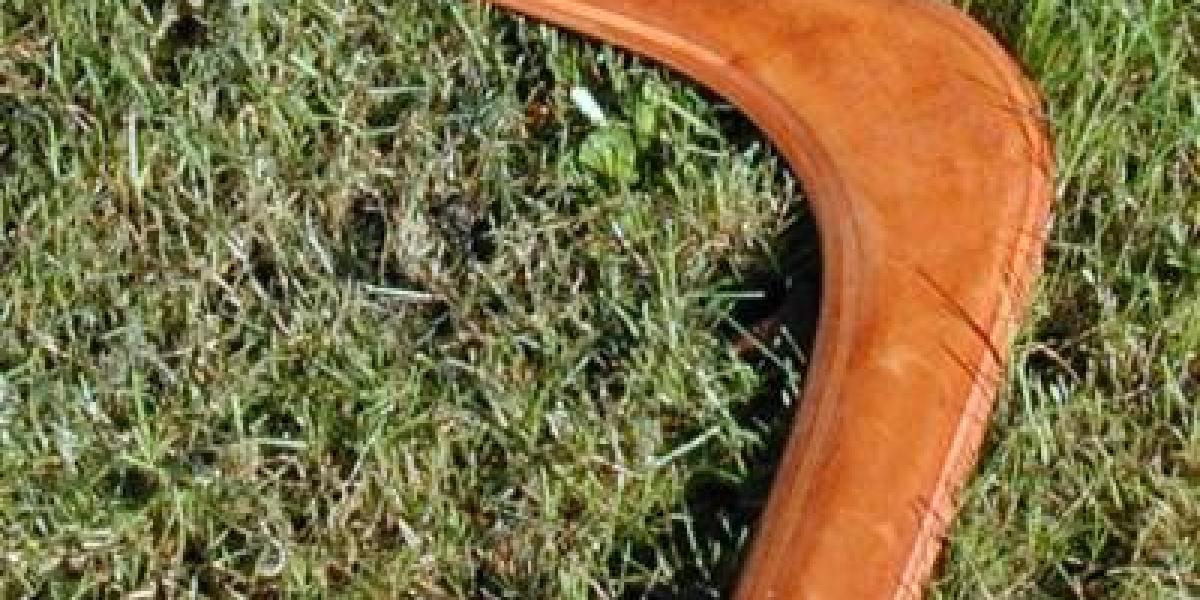 Boomerang | Mises Institute