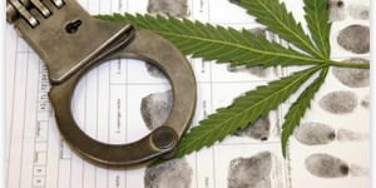 Legalize It | Mises Institute