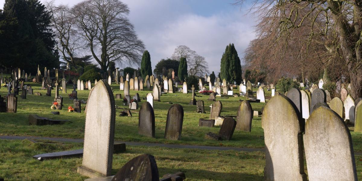 Pension Pain: The Other Social Insurance Crisis | Mises Institute