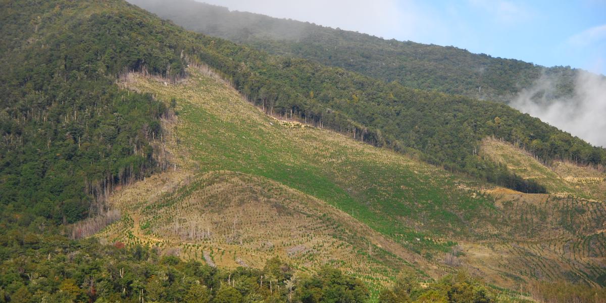 The Equalizers | Mises Institute