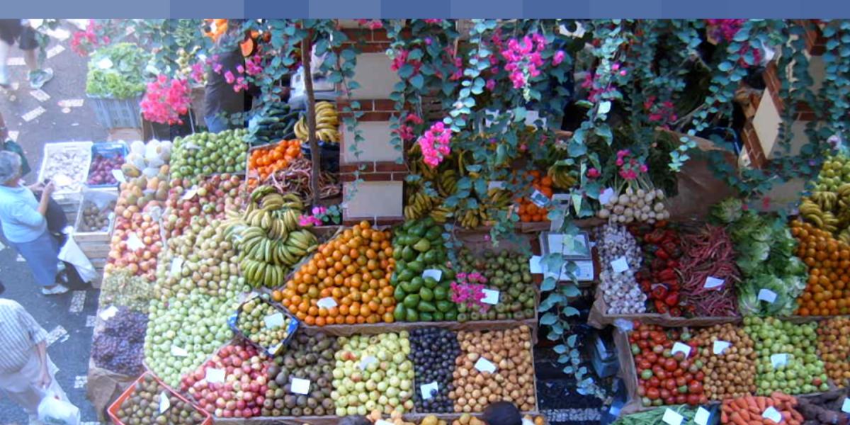 Market Theory and the Price System | Mises Institute