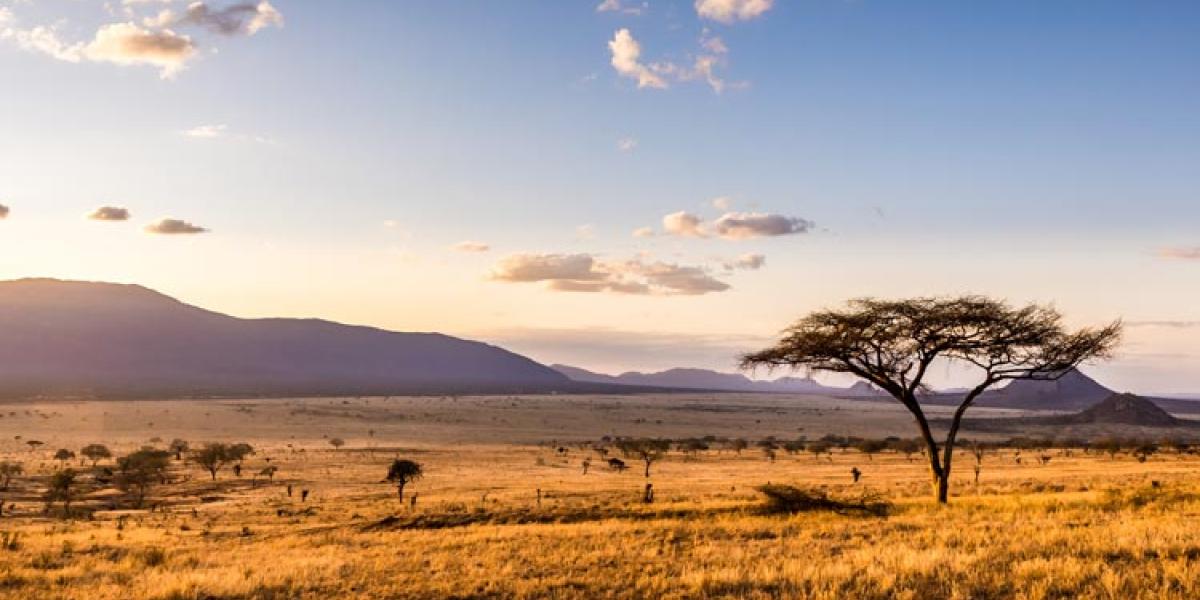 Why Africa's Geography Is a Barrier to Growth | Mises Institute