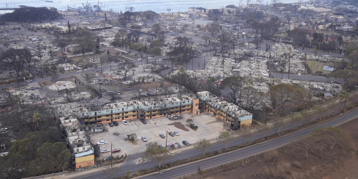 What to Do (And What NOT to Do) after Disasters Strike | Mises Institute