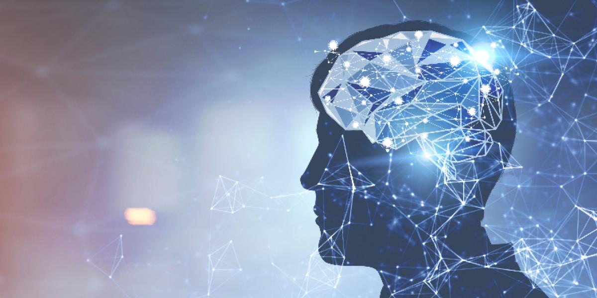 Reason versus Emotion in Economics: A Praxeological Response | Mises ...