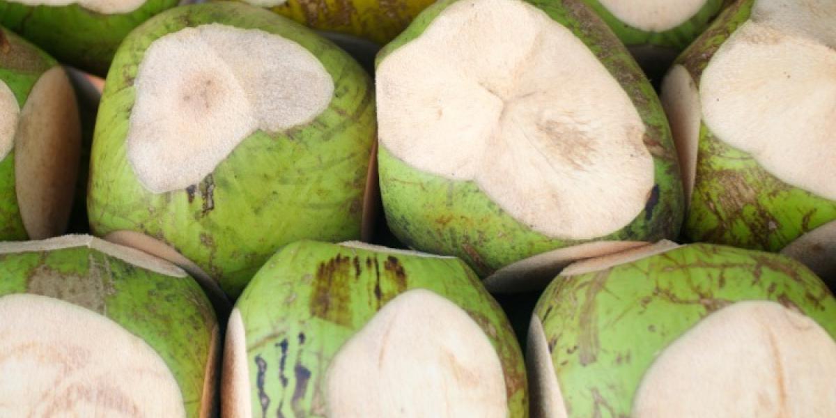 The Praxeological Origins of the Price System | Mises Institute