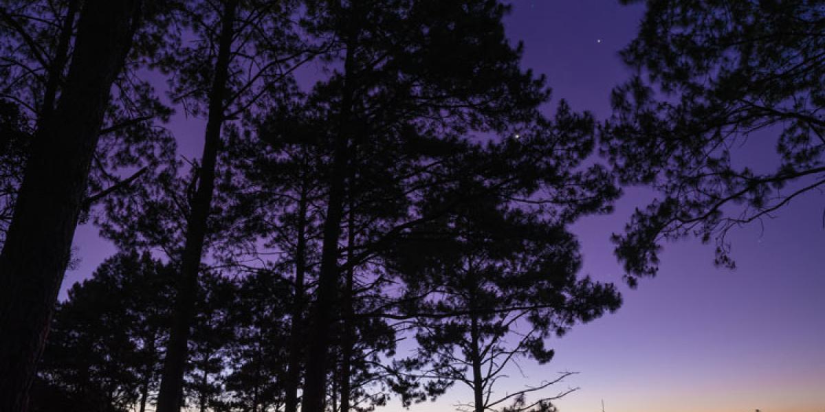 The Rise of the Sovereign State | Mises Institute