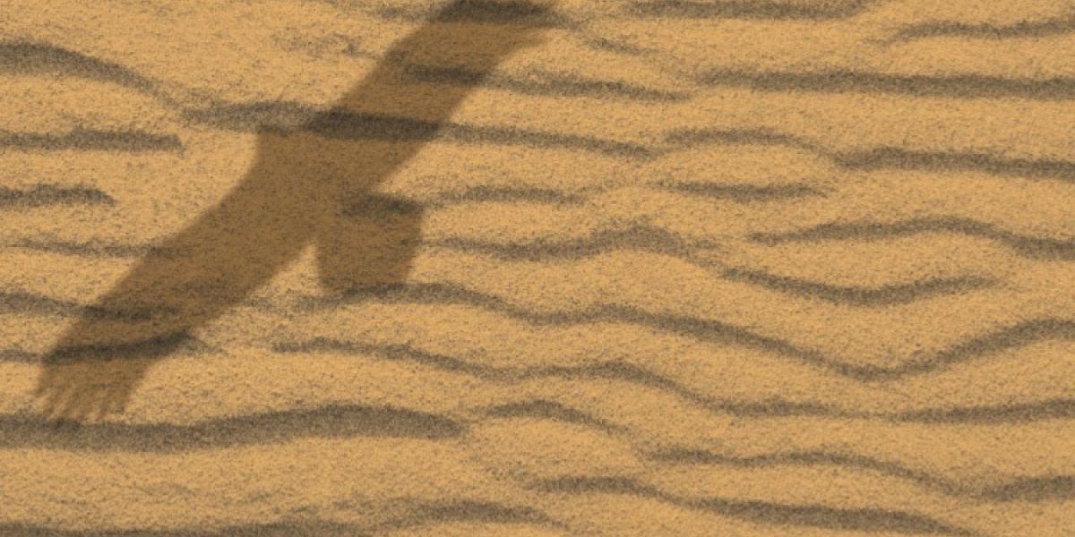 America's Secret Government by Proxy | Mises Institute