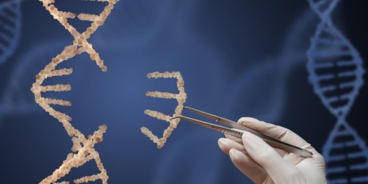 The Boston Brahmins, WASPs, and Nazis: The Pursuit of Eugenics | Mises ...