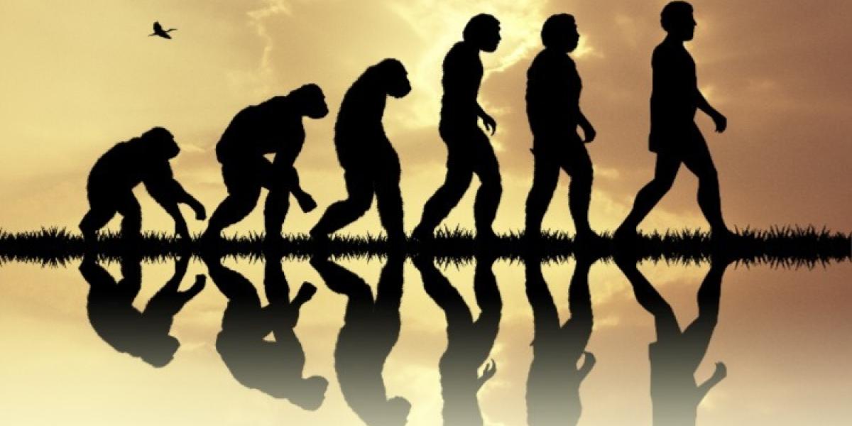 ¿Qué sucede cuando el progreso humano toma una pausa? | Mises Institute