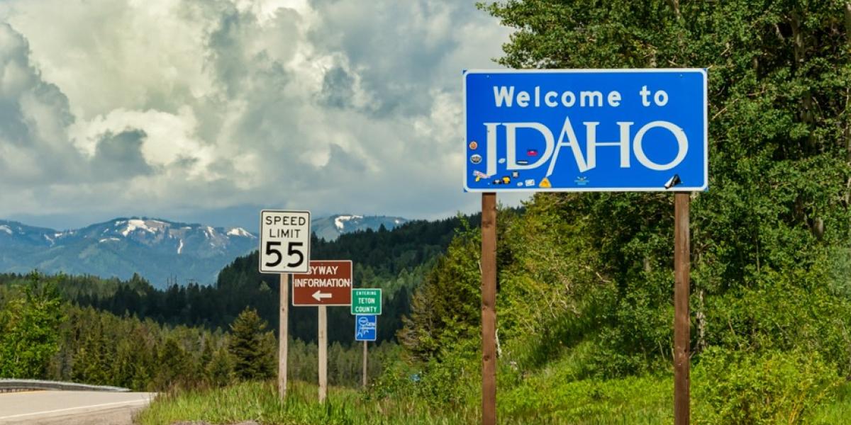 Since Covid Lockdowns, New York Lost More of Its Population than Any ...