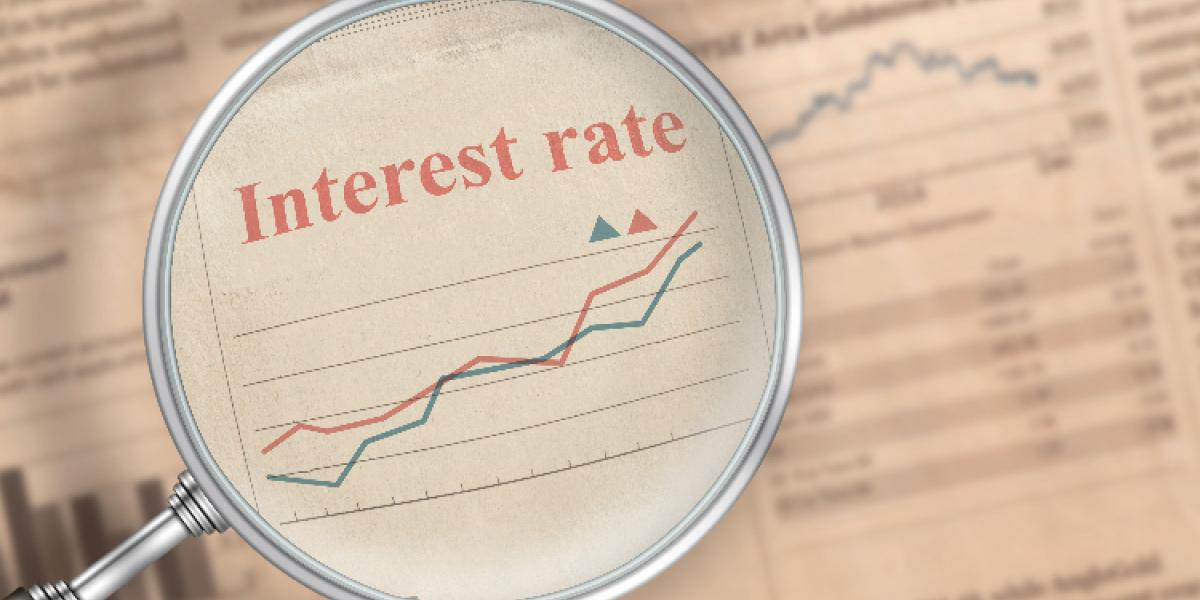 The Interest Rate Shock Will Blow Up the Government’s Ponzi Game ...