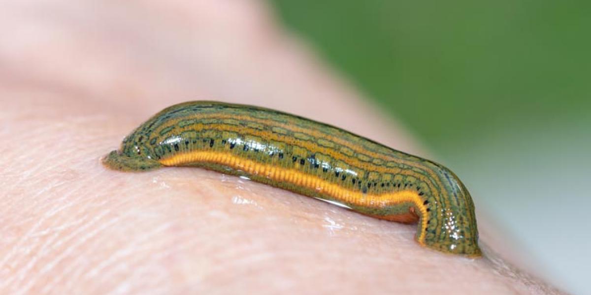 Government Spending Is the Real Tax; Deficits Are a Sideshow | Mises ...