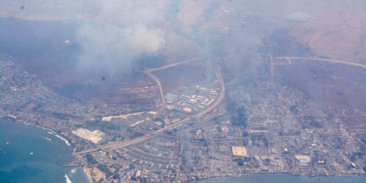 Thanks to Government, Maui's Lahaina Fire Became a Deadly Conflagration ...