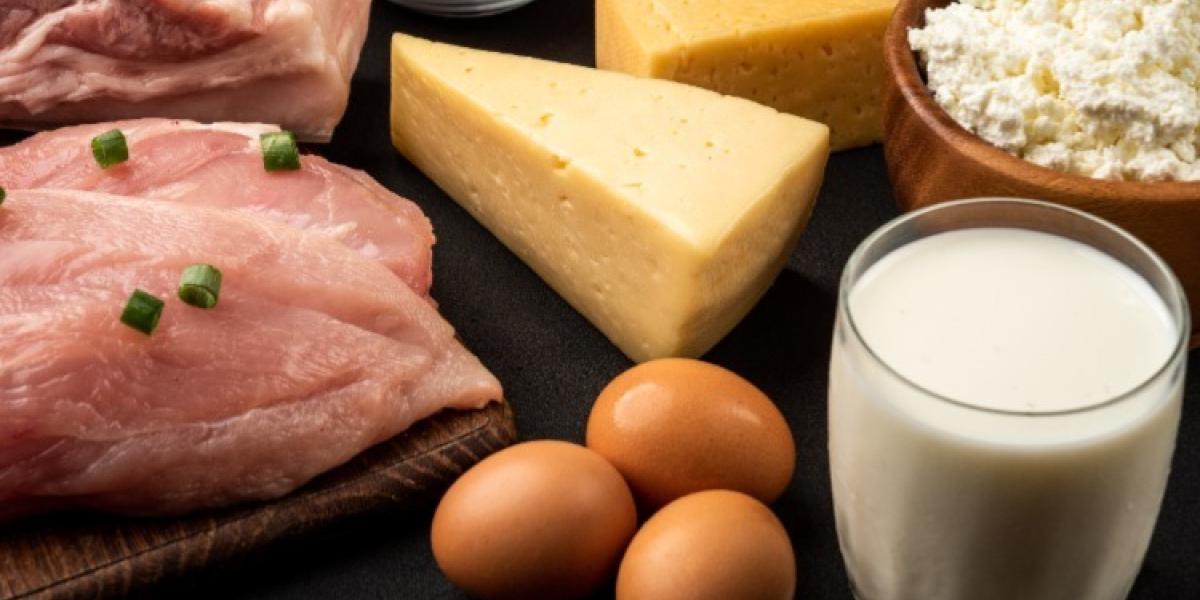 The Bretton Woods Institutions and the Accelerated Dystopian ...