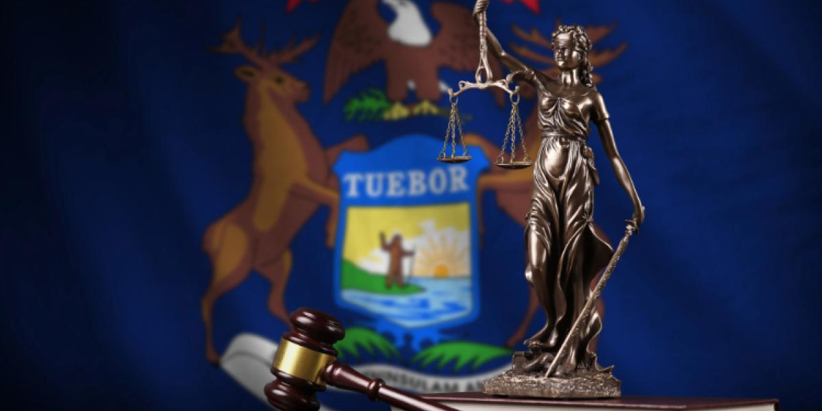 Do We Really Want to Go There? A Michigan Jury Endorses Vicarious ...