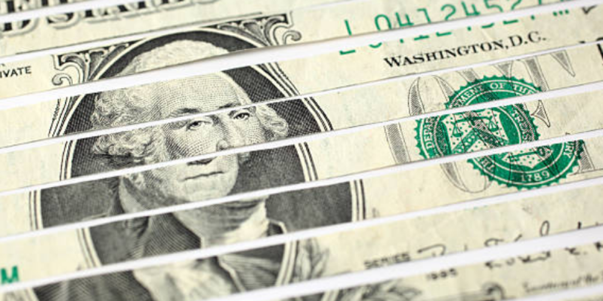 Our Republic's First Economist | Mises Institute