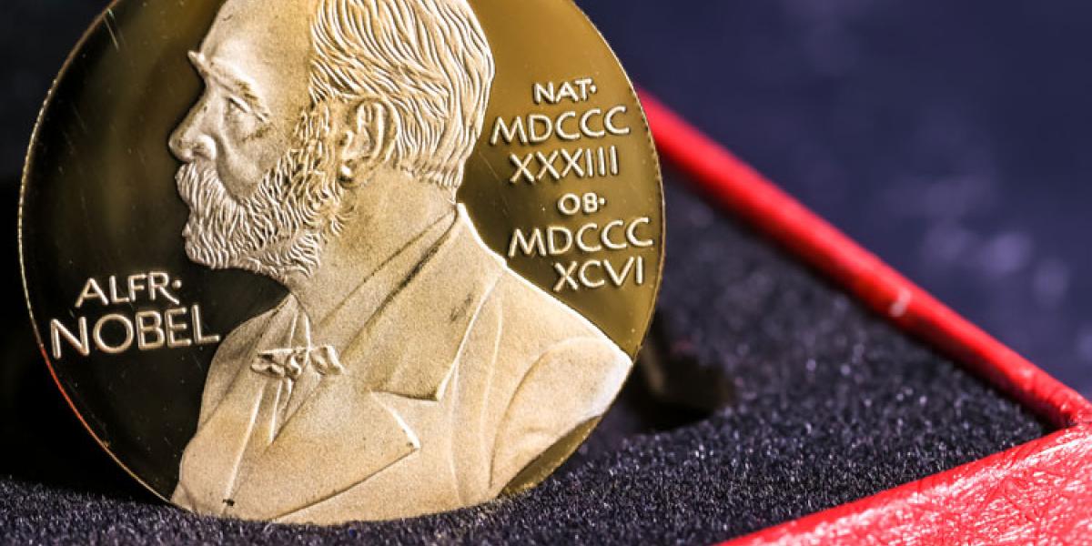About That Nobel: Deconstructing Banking Theories of Diamond and Dybvig ...