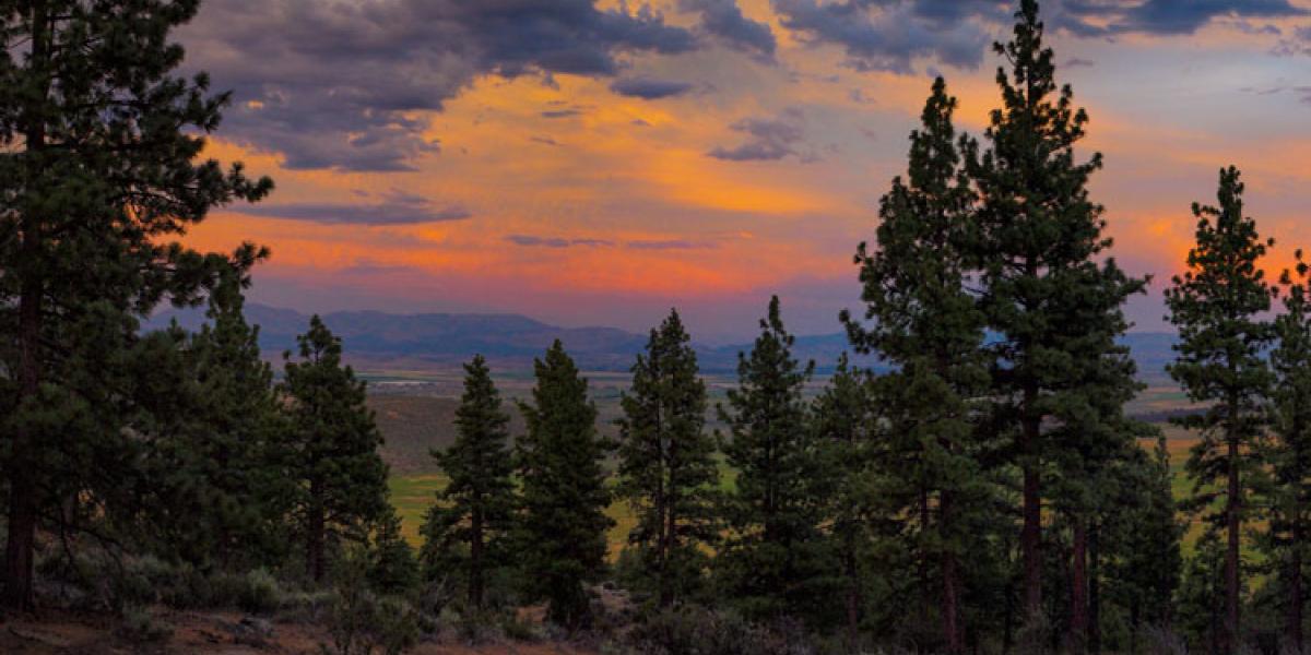 Climate Change: Fred Singer's Classic Critique | Mises Institute