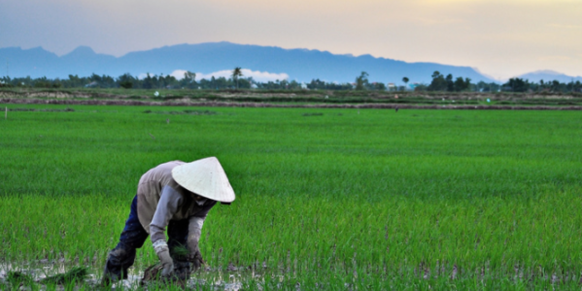 Wages and Subsistence | Mises Institute