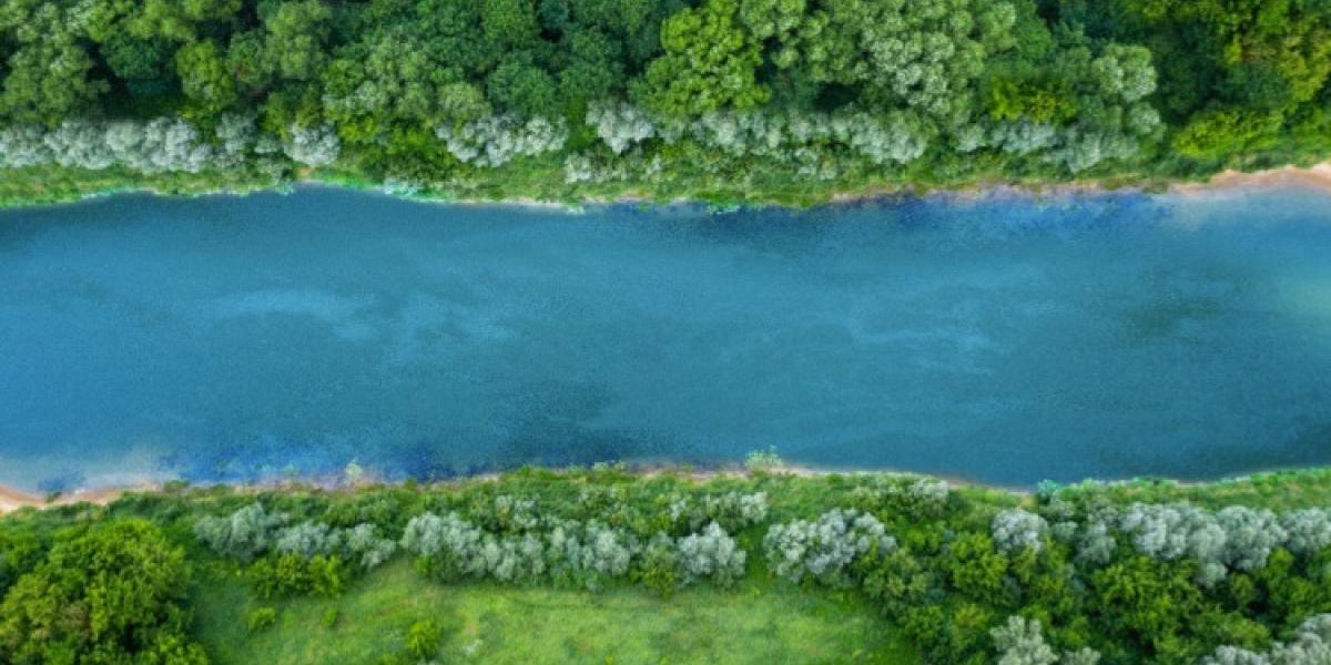 States Can Curb Federal Power through "Soft Secession" | Mises Institute