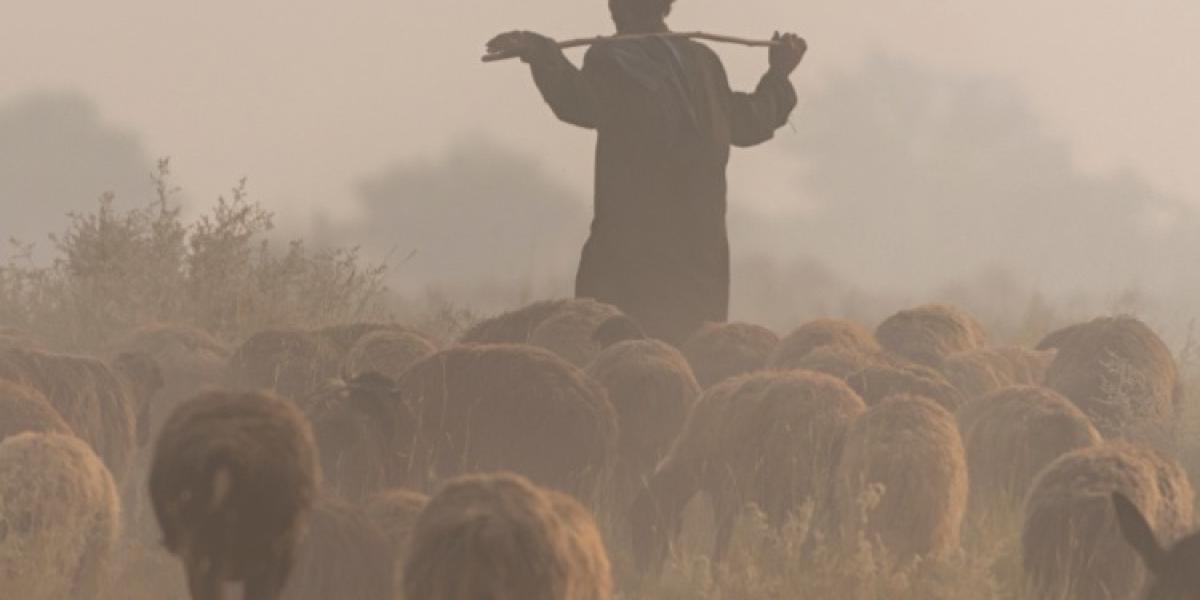 Cultural Change Is Necessary for Capital Development | Mises Institute