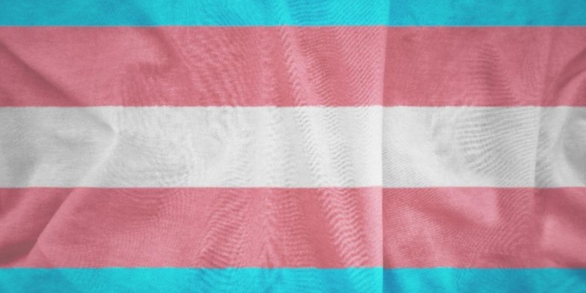 “Trans Rights” Means Trans Entitlements and the End of Civil Society ...