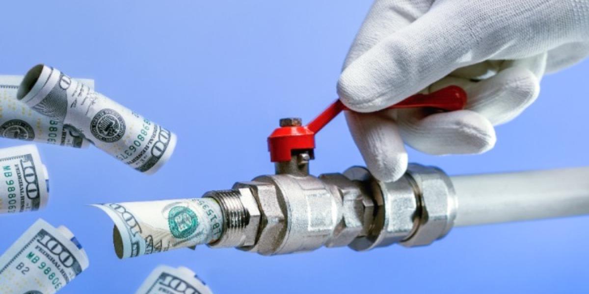 Por qué los gobiernos desperdician recursos: el caso de Joseph R ...